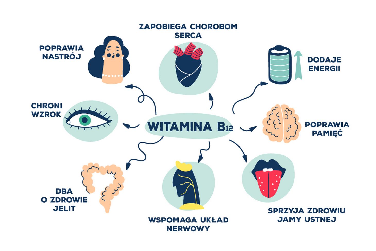 Witamina B12 – właściwości, objawy niedoboru. Gdzie występuje witamina B12?
