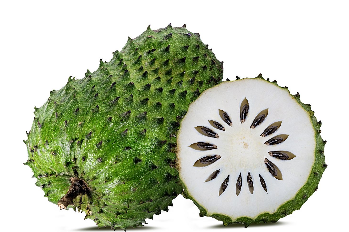 Graviola – właściwości lecznicze, działanie i zastosowanie. Sok z gravioli